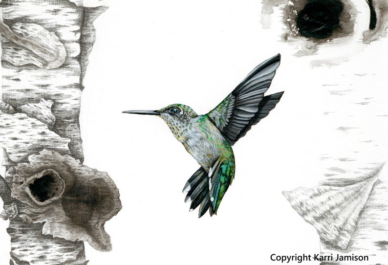 Hummingbird Art, Hummingbird Painting, Ruby Throated Hummingbird ...