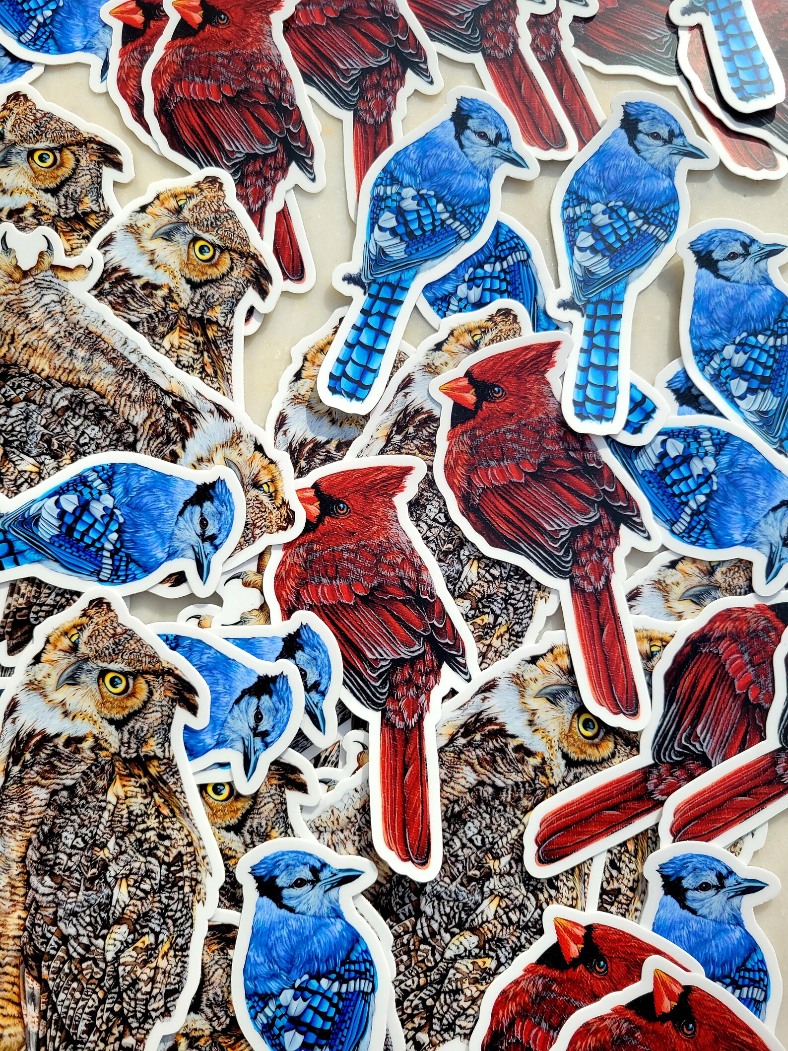 Cardinal Sticker, Red Cardinal Art, Red Bird, Vinyl Waterproof Sticker ...