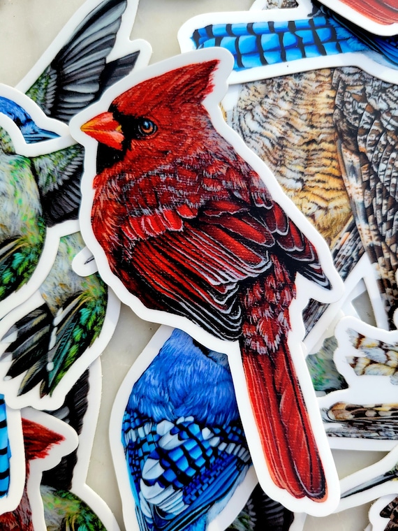 Cardinal Sticker Red Cardinal Art Red Bird Vinyl Waterproof - Etsy