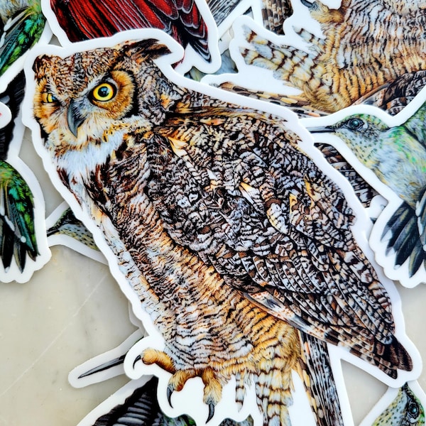 Owl Car Decal - Etsy