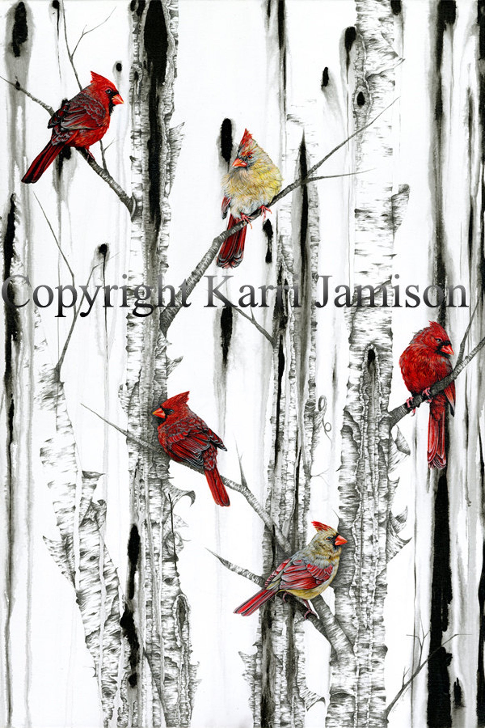 Cardinal Greeting Card Blank Card Note Card Envelope - Etsy