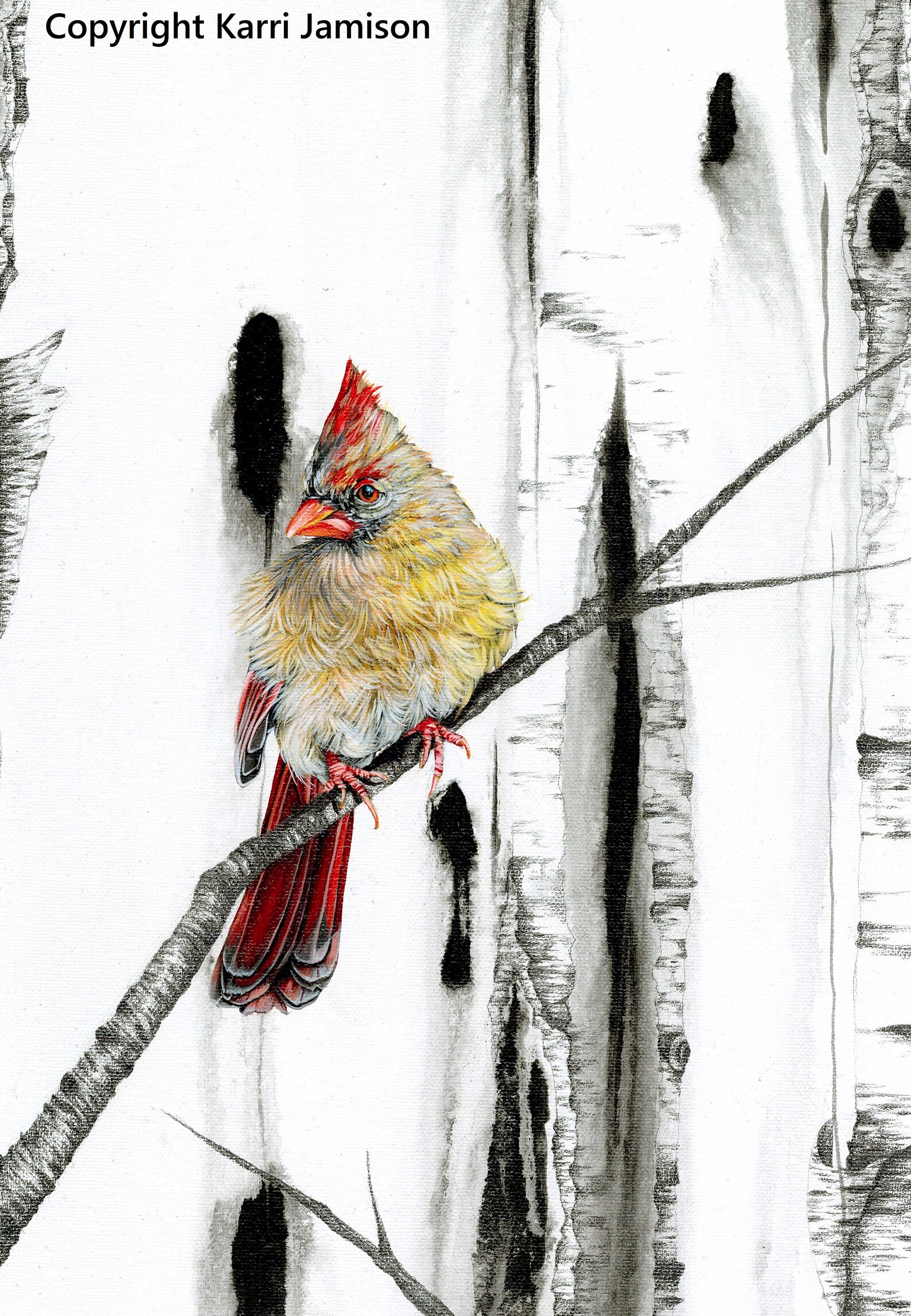 Cardinal Art Female Cardinal Print Red Bird Print Cardinal | Etsy