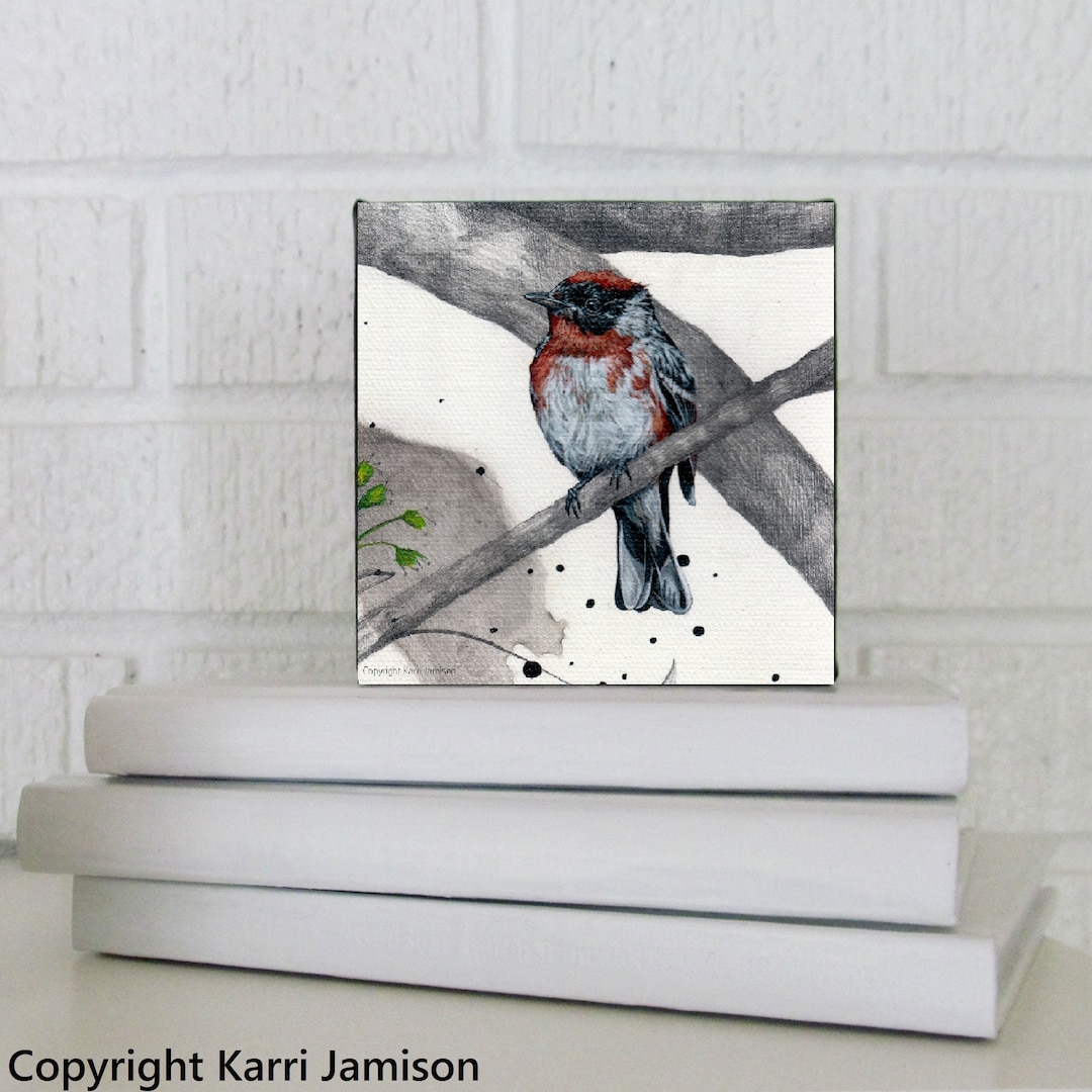 Bay Breasted Warbler, Warbler Print, Bird Canvas, Office Art, Spring ...
