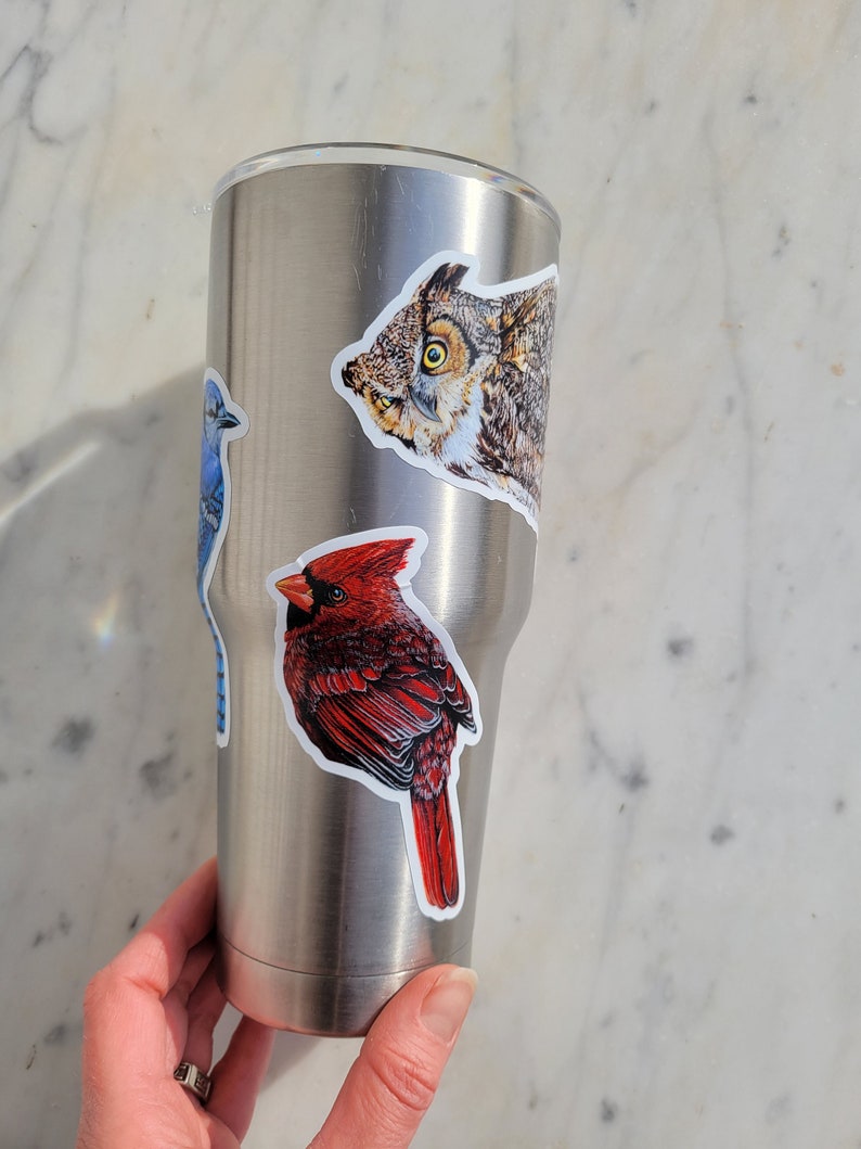 Cardinal Sticker, Red Cardinal Art, Red Bird, Vinyl Waterproof Sticker ...