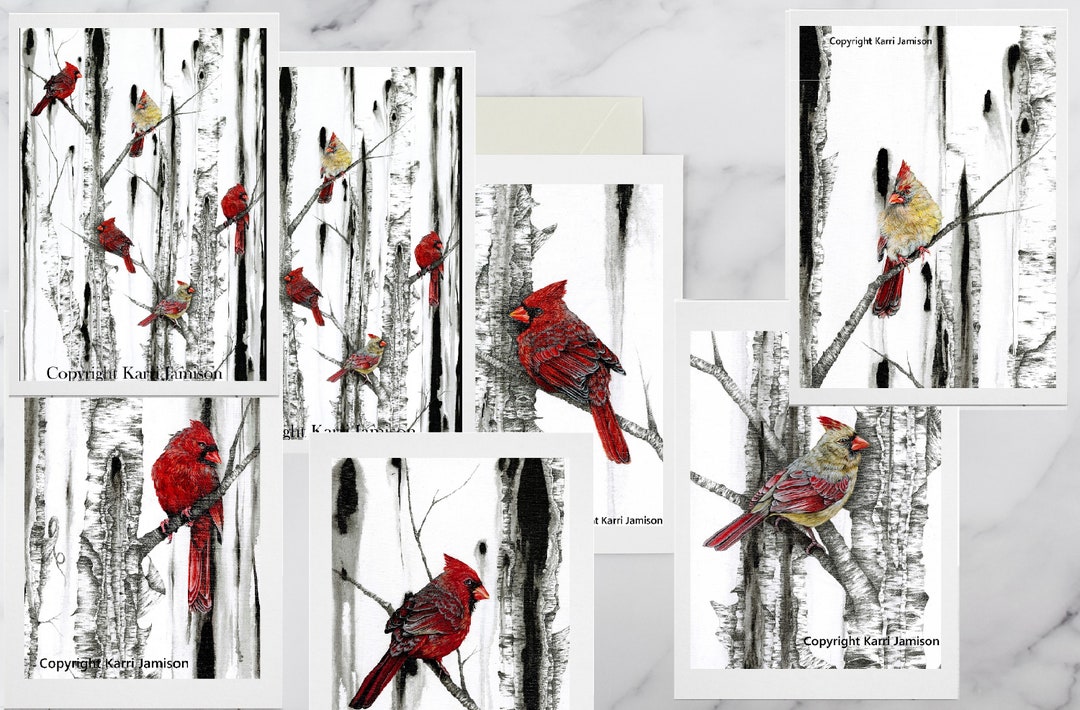 Blank Card Set, Cardinal Card Set, Nature Card Set, Holiday Boxed Set ...