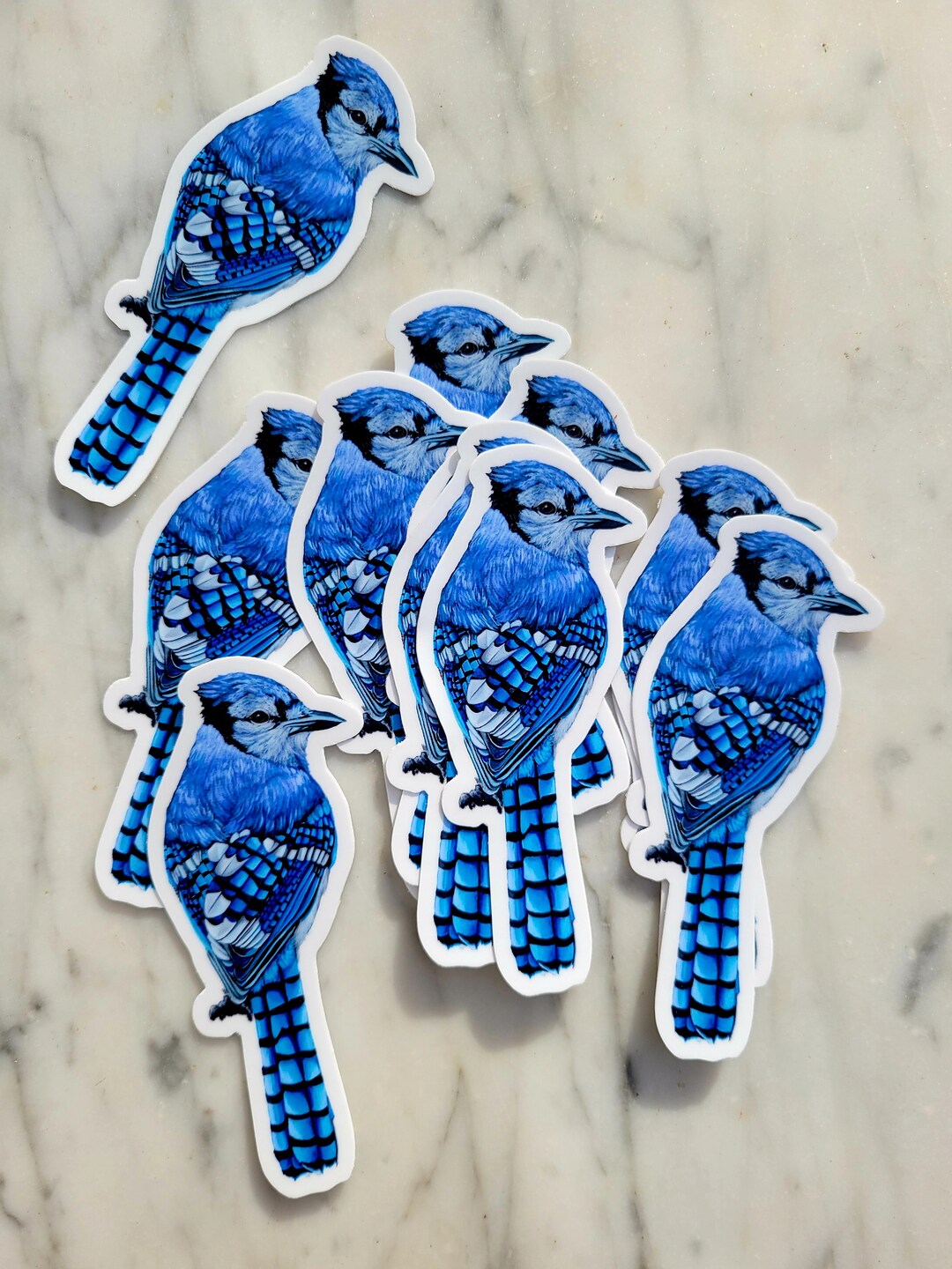 Blue Jay Sticker, Bluejay Art, Vinyl Waterproof Sticker, for Water ...