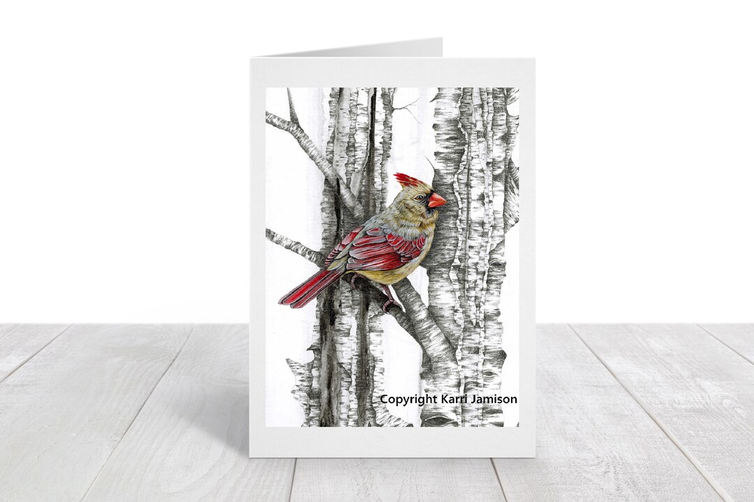 Cardinal Female Card #2, Greeting Card, Blank Card, Bird Card, Envelope ...