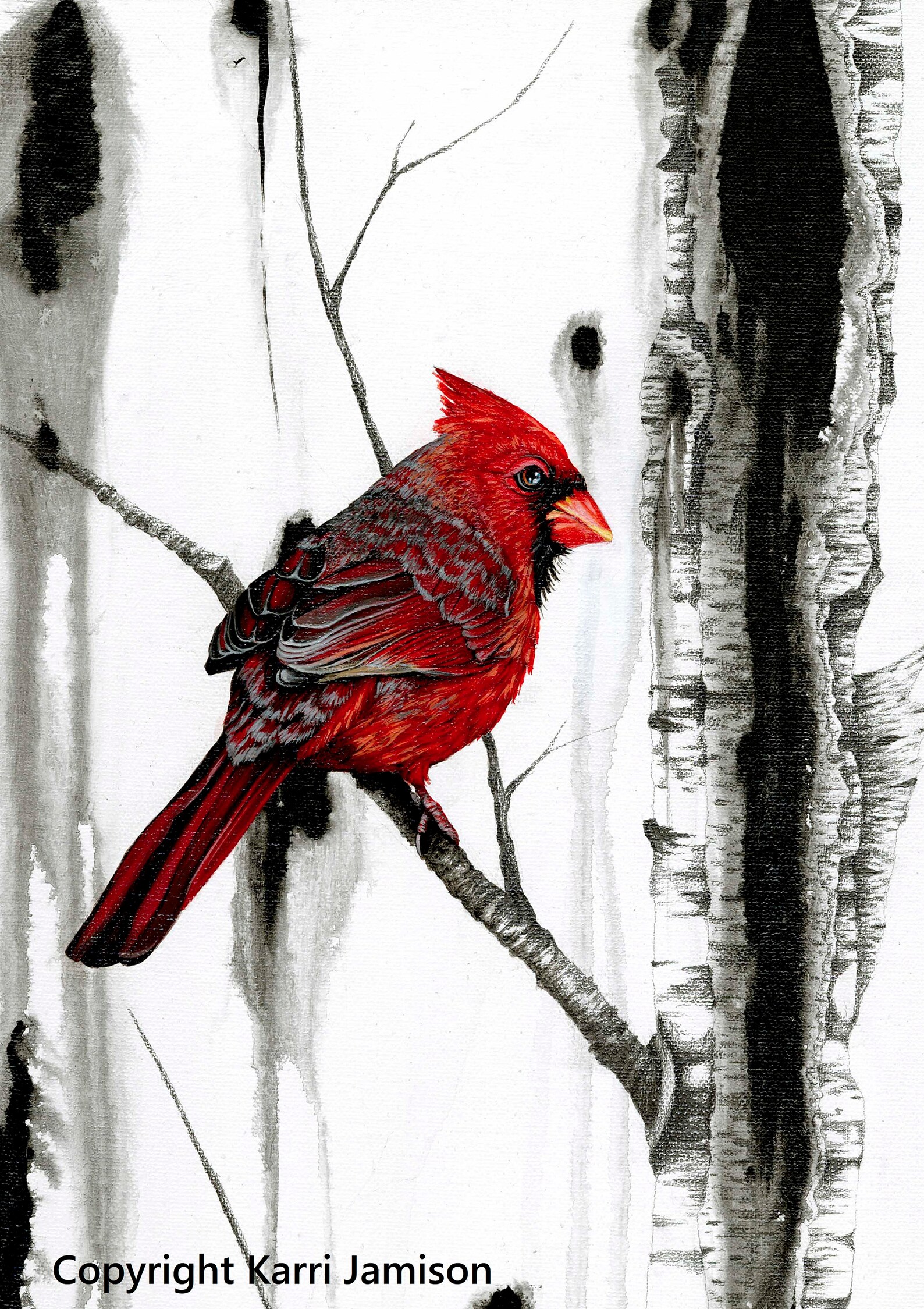 Cardinal Art Cardinal Print Red Bird Print Male Cardinal 2 | Etsy