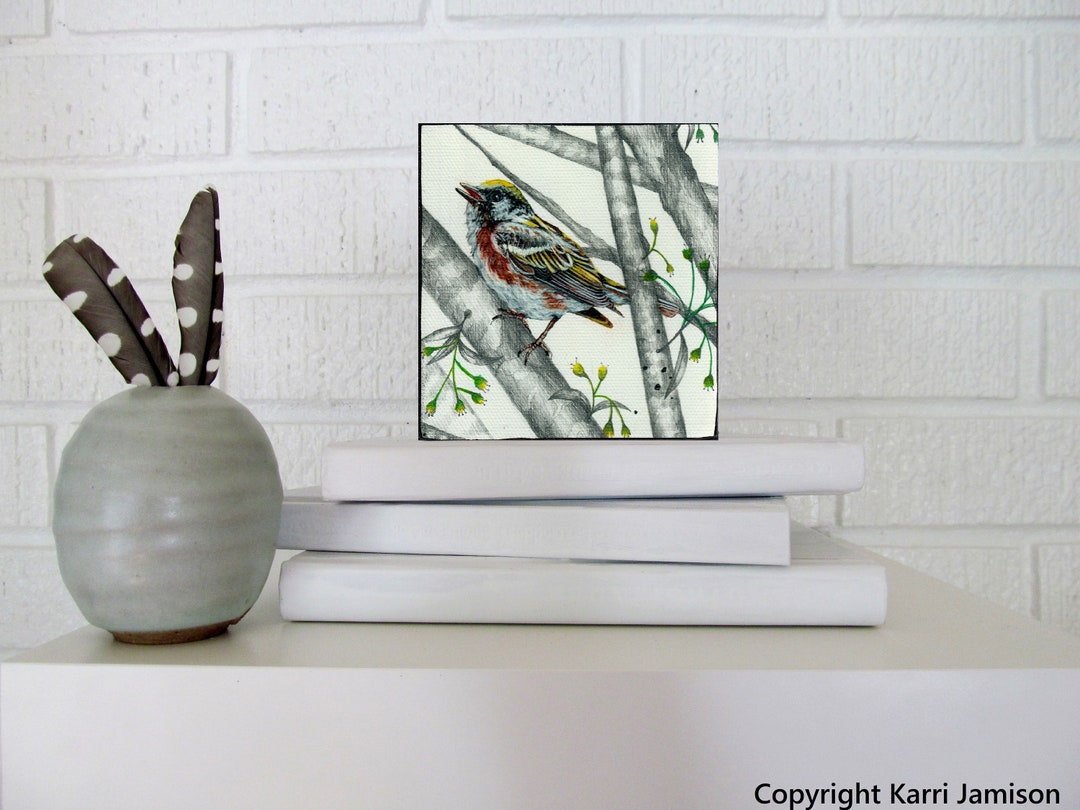 Chestnut Sided Warbler, Warbler Print, Warbler Canvas, Mini Print, Wall ...