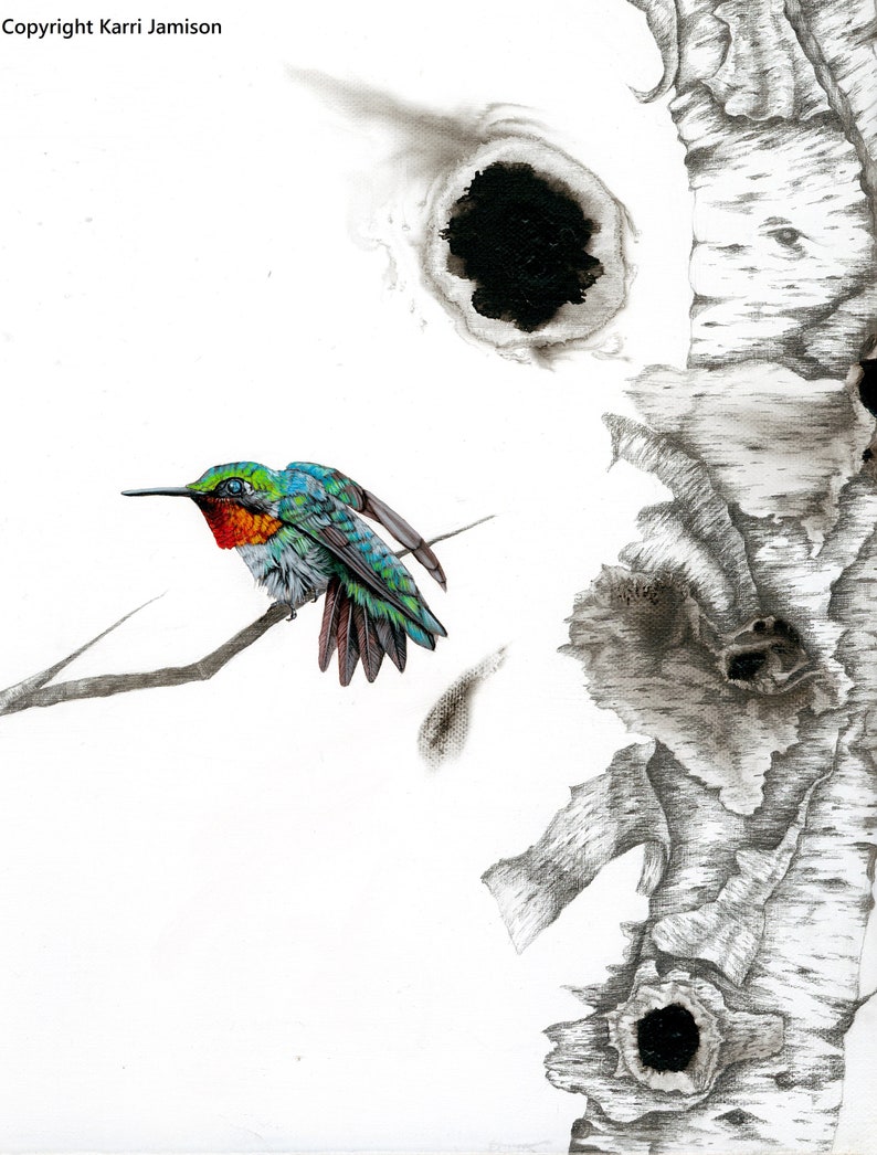 Hummingbird Art, Hummingbird Painting, Ruby Throated Hummingbird ...