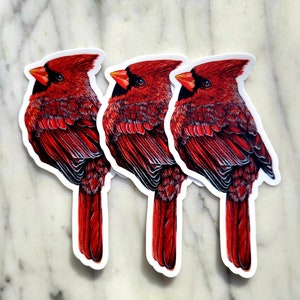 Cardinal Sticker, Red Cardinal Art, Red Bird, Vinyl Waterproof Sticker ...