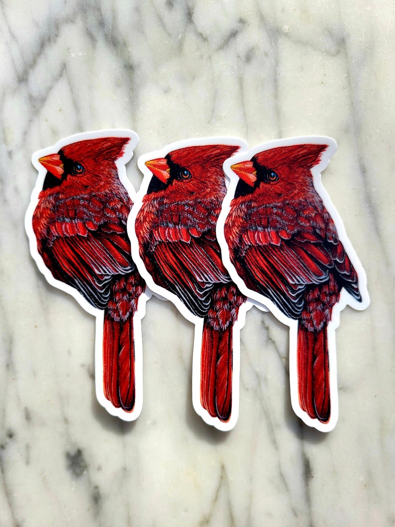 Cardinal Sticker, Red Cardinal Art, Red Bird, Vinyl Waterproof Sticker ...
