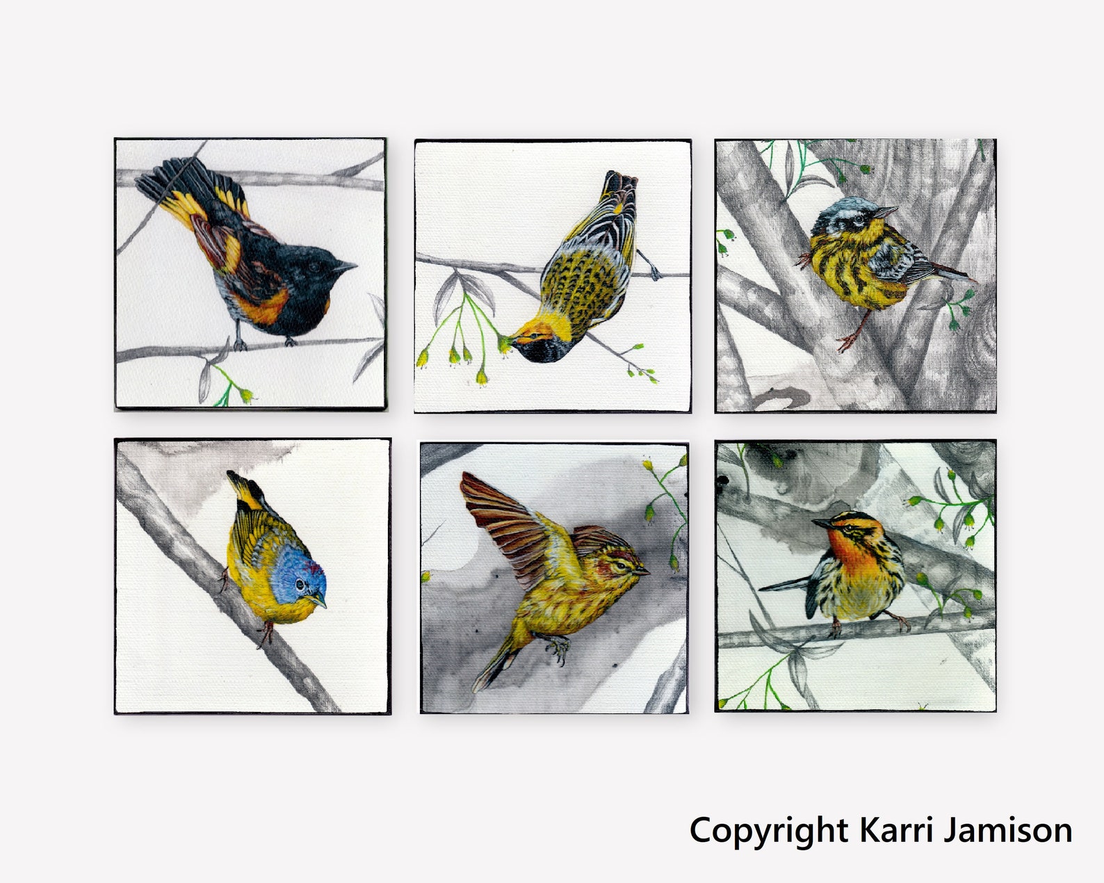 Blackburnian Warbler Art, Warbler Print, Warbler Art, Mini Print, Wall ...