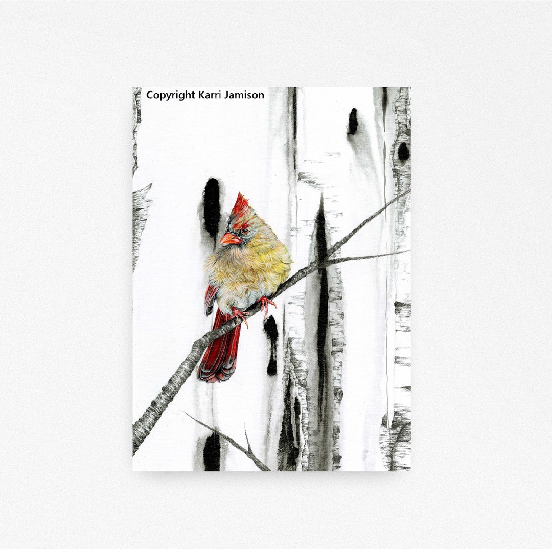 Cardinal Art, Female Cardinal Print, Red Bird Print, Cardinal Wall Art ...