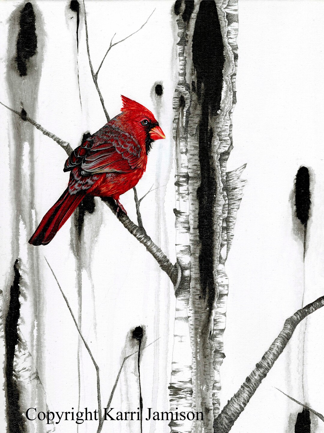 Cardinal Art, Cardinal Print, Male Cardinal, Red Bird, Karri Jamison ...