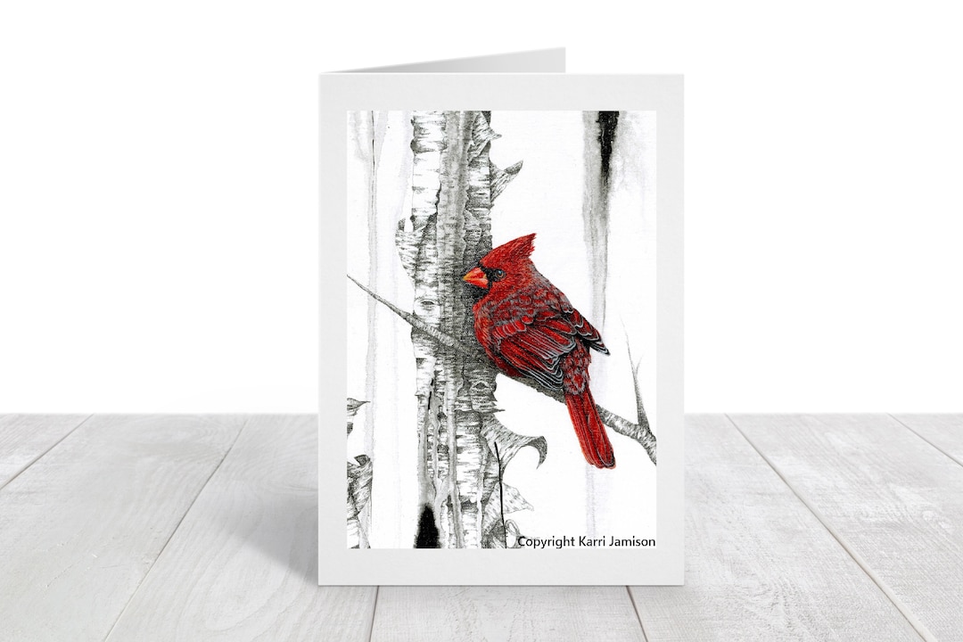 Cardinal Greeting Card Male #1, Blank Card, Bird Card, Envelope ...