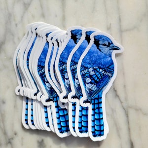 Blue Jay Sticker, Bluejay Art, Vinyl Waterproof Sticker, for Water ...