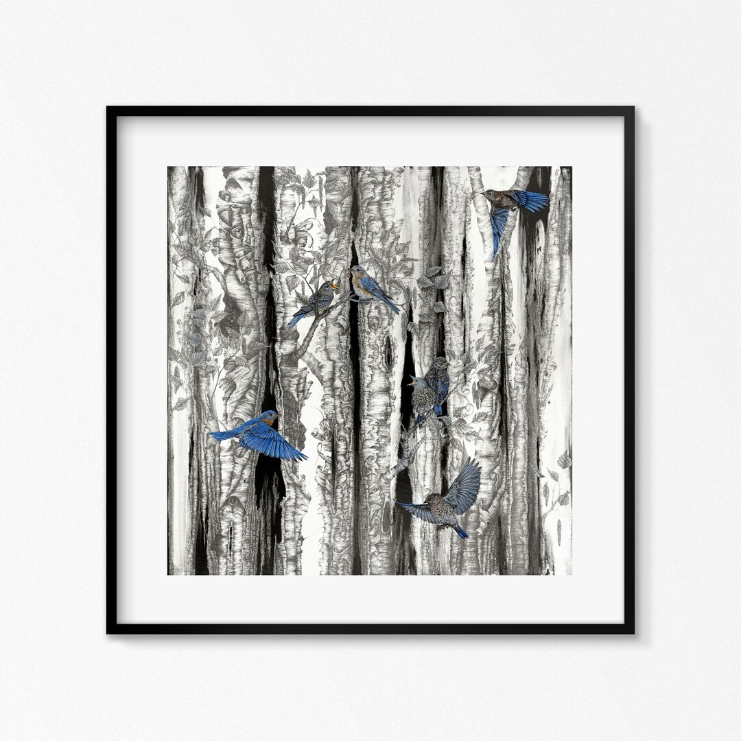 Bluebird Print, Eastern Blue Bird Art, Bird Art, Paper Print, Wall Art ...