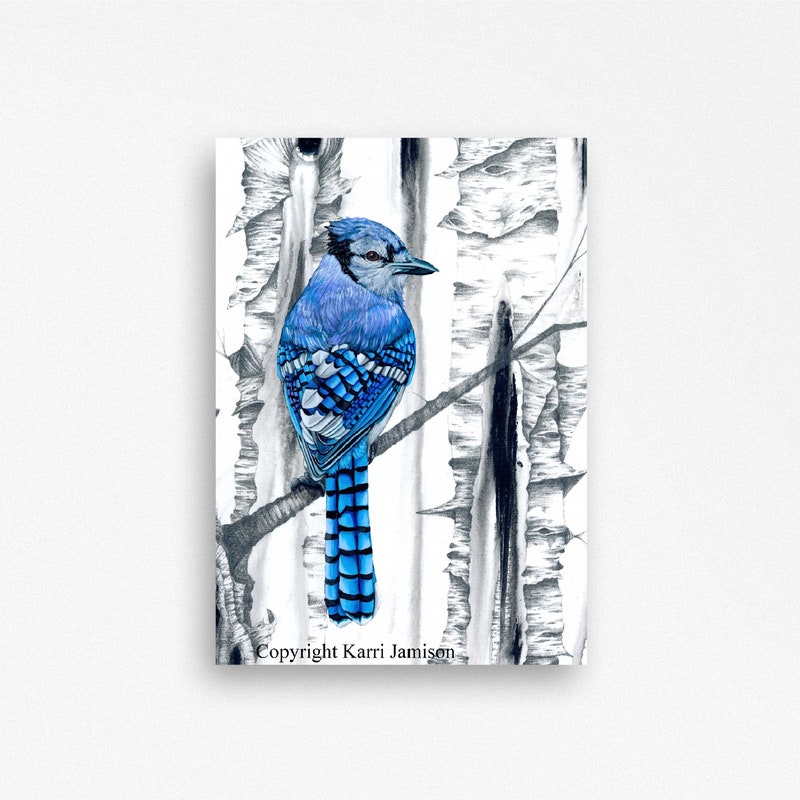 Blue Jay Art - Etsy