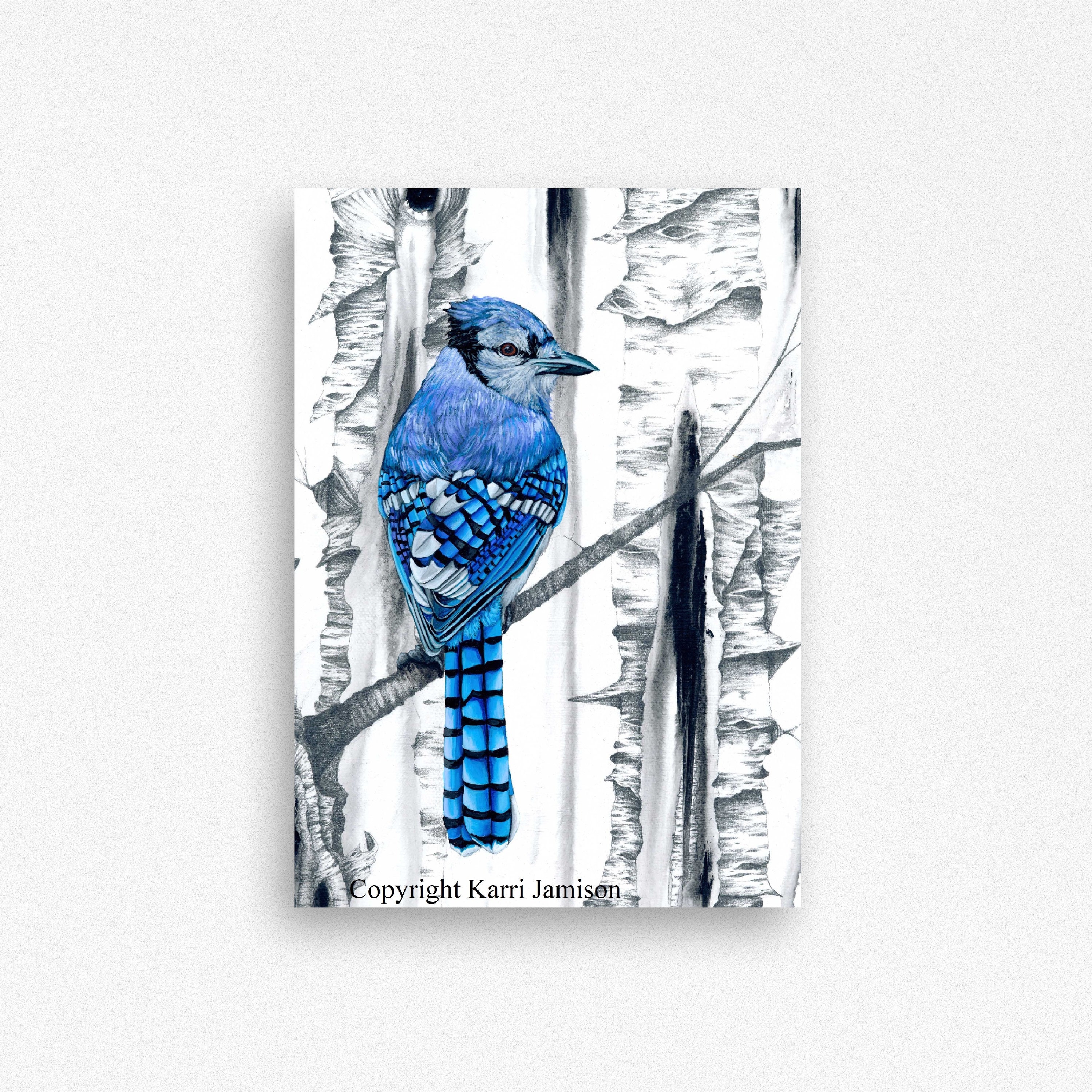 Blue Jay Art Blue Jay Print Blue Jay Artwork Blue Jay - Etsy