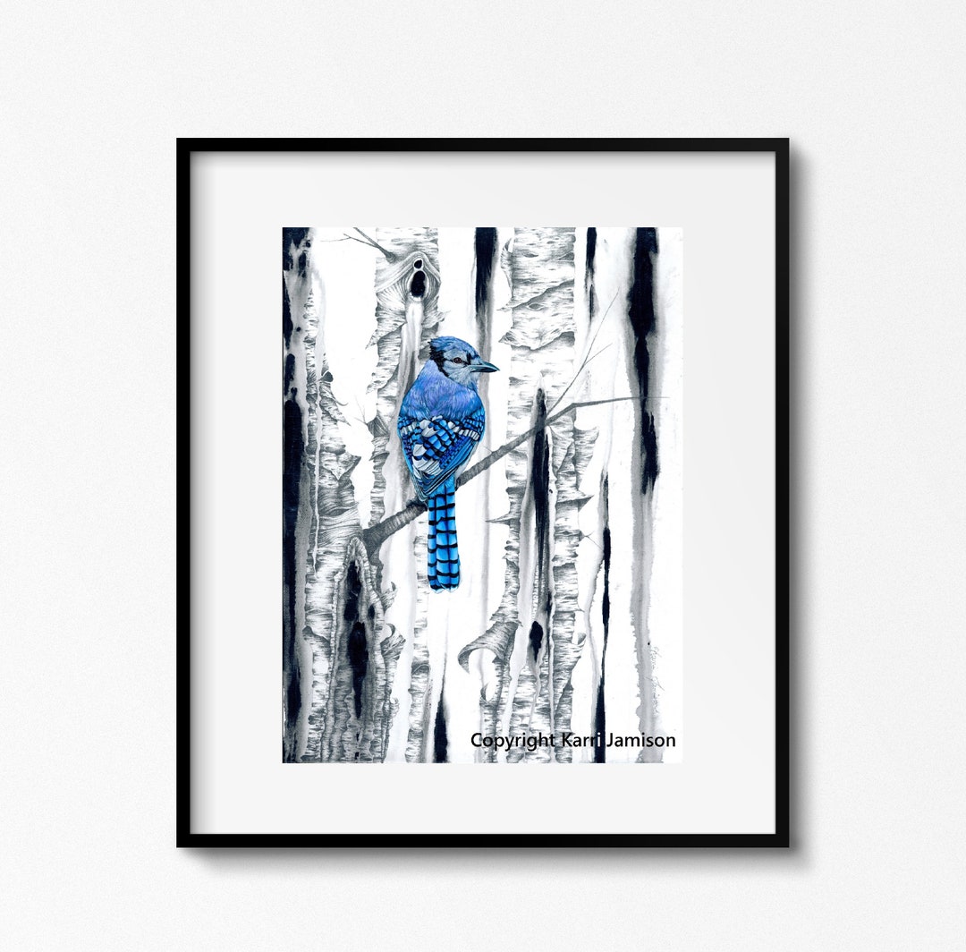 Blue Jay Print, Bluejay Art, Blue Jay Art Print, Blue Jay Wall Art ...