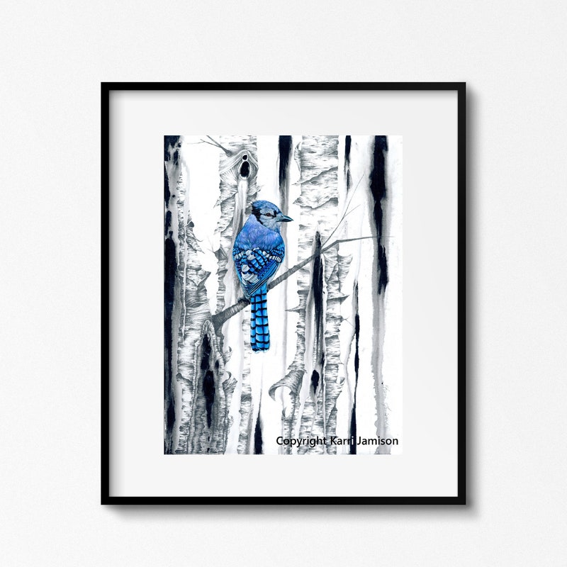 Blue Jay Print - Etsy