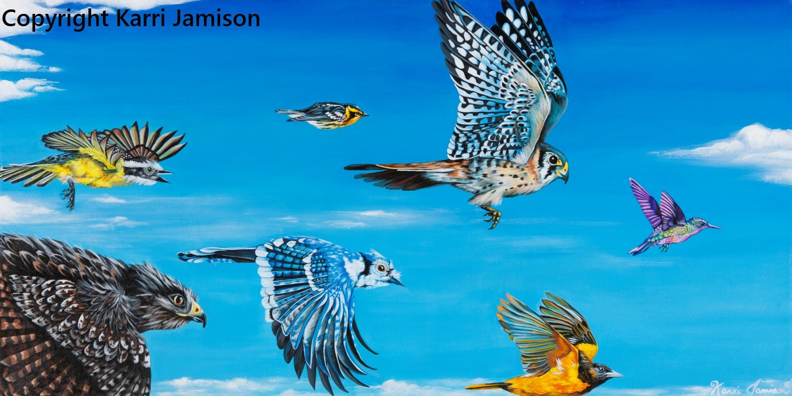 Blue Jay Print Hawk Art Bird Print Bird Art Oriole Print | Etsy