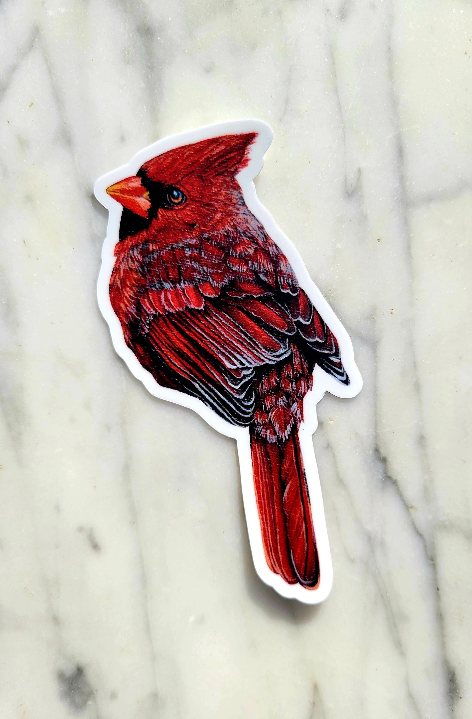 Cardinal Sticker Red Cardinal Art Red Bird Vinyl Waterproof - Etsy