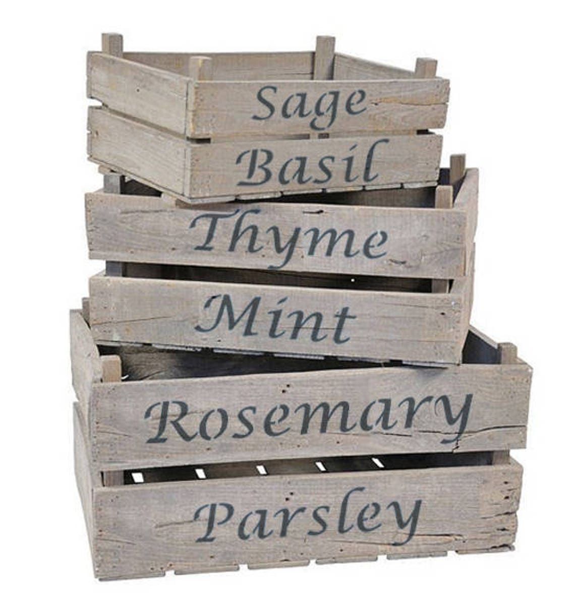 Herb Names Stencil: Reusable Mylar Craft Stencil - Etsy