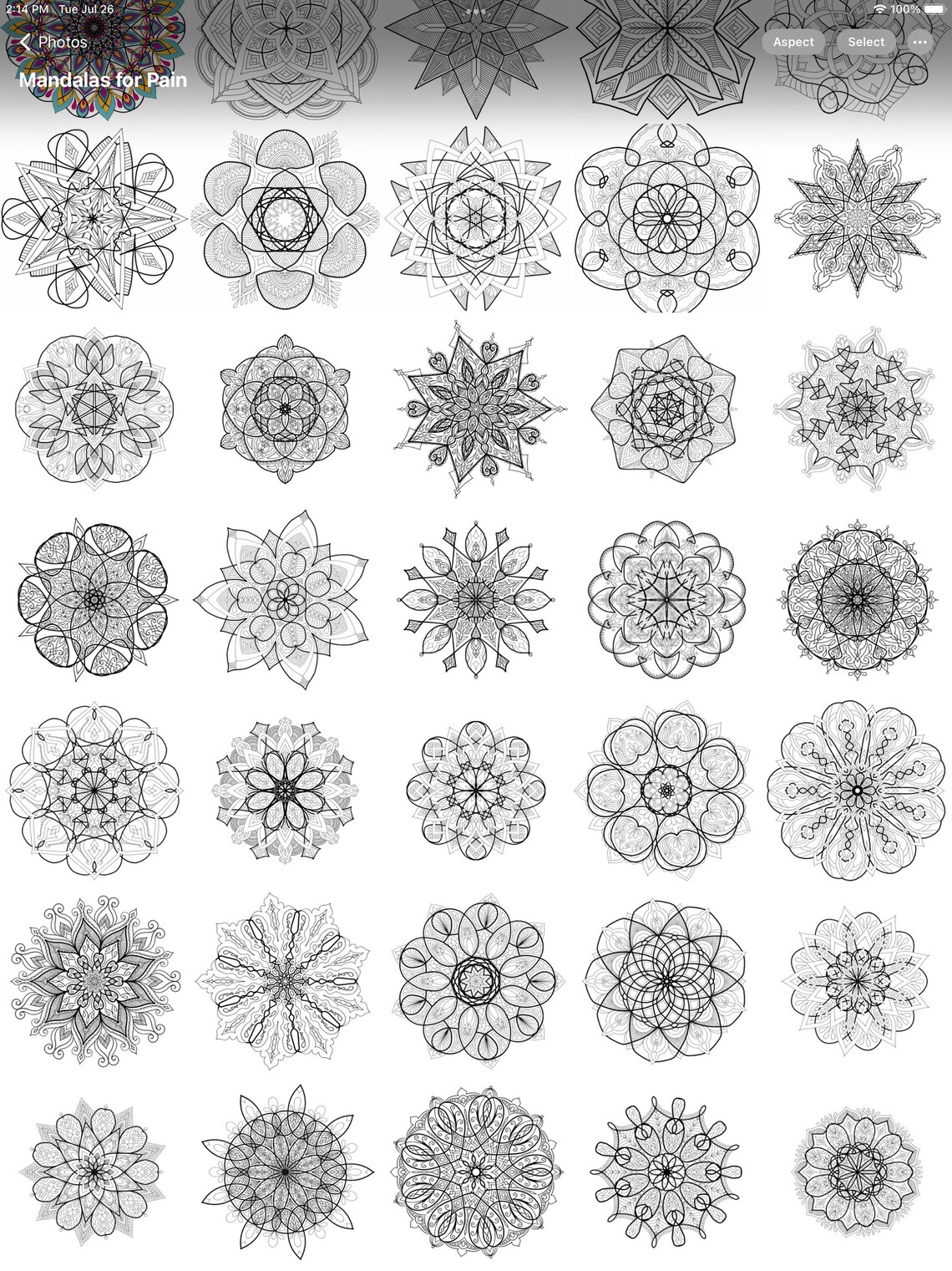 Printable Mandala Art Therapy Coloring Book, Meditative Healing Mandala ...