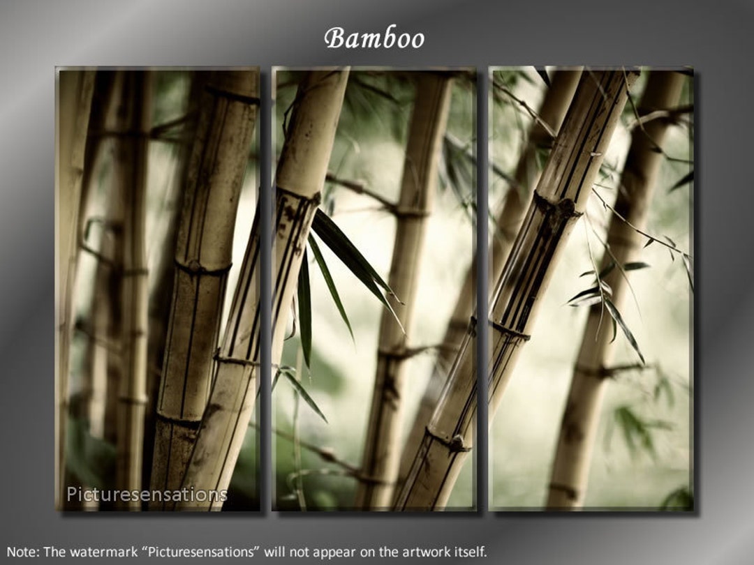 Framed Huge 3 Panel Feng Shui Bamboo Giclee Canvas Print - Ready to ...