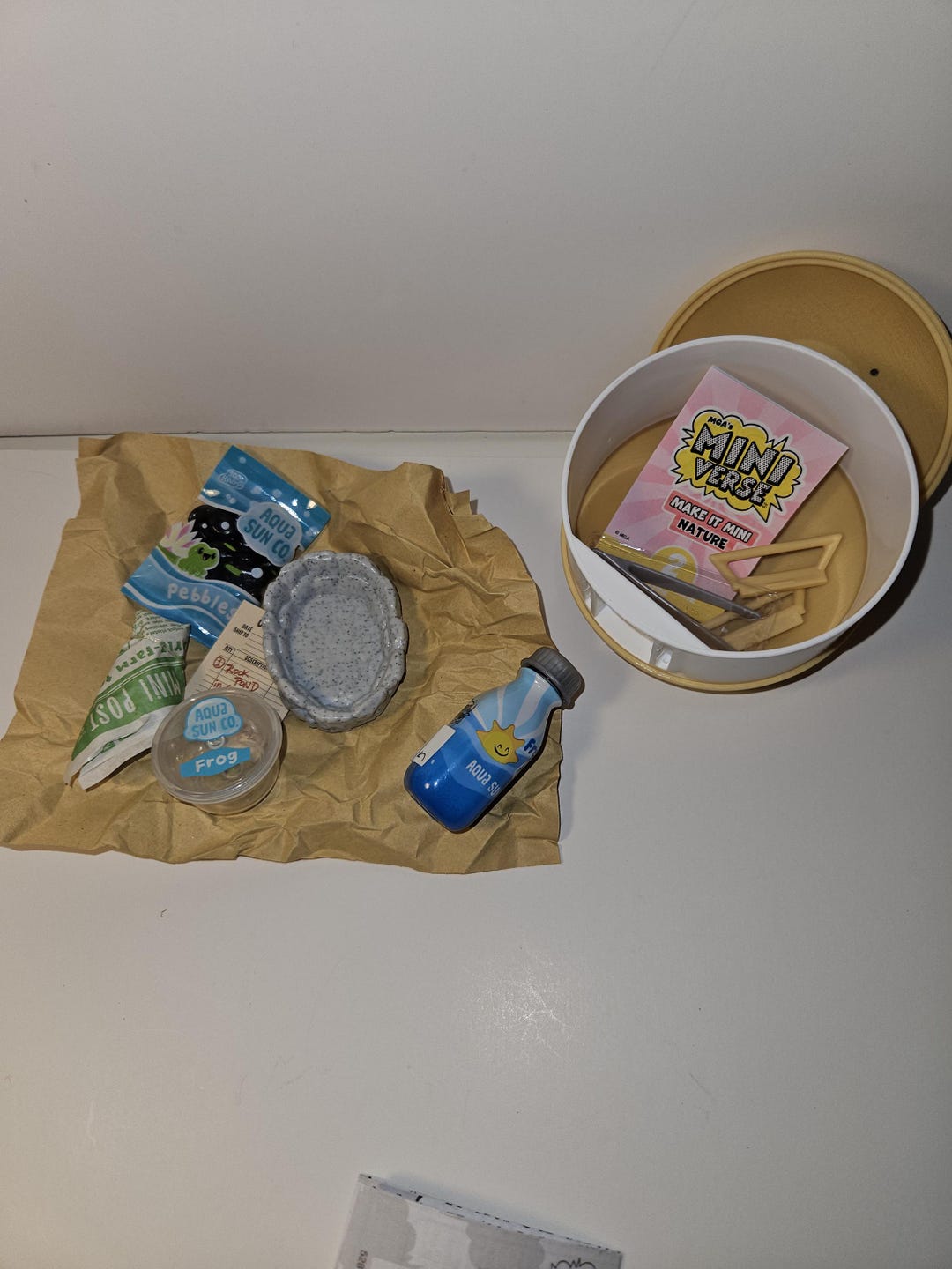 Miniverse Nature Series 2 AMERICAN TREE FROG. - Etsy