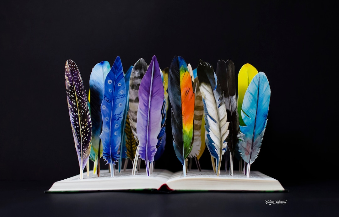The Book of Feathers Book Art Book Sculpture Altered - Etsy