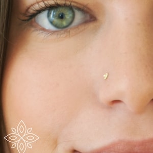 Nose Stud, 14k Solid Gold Earring, Tiny Flower Nose Stud, Nose Ring, Nose Piercing, Tragus ...