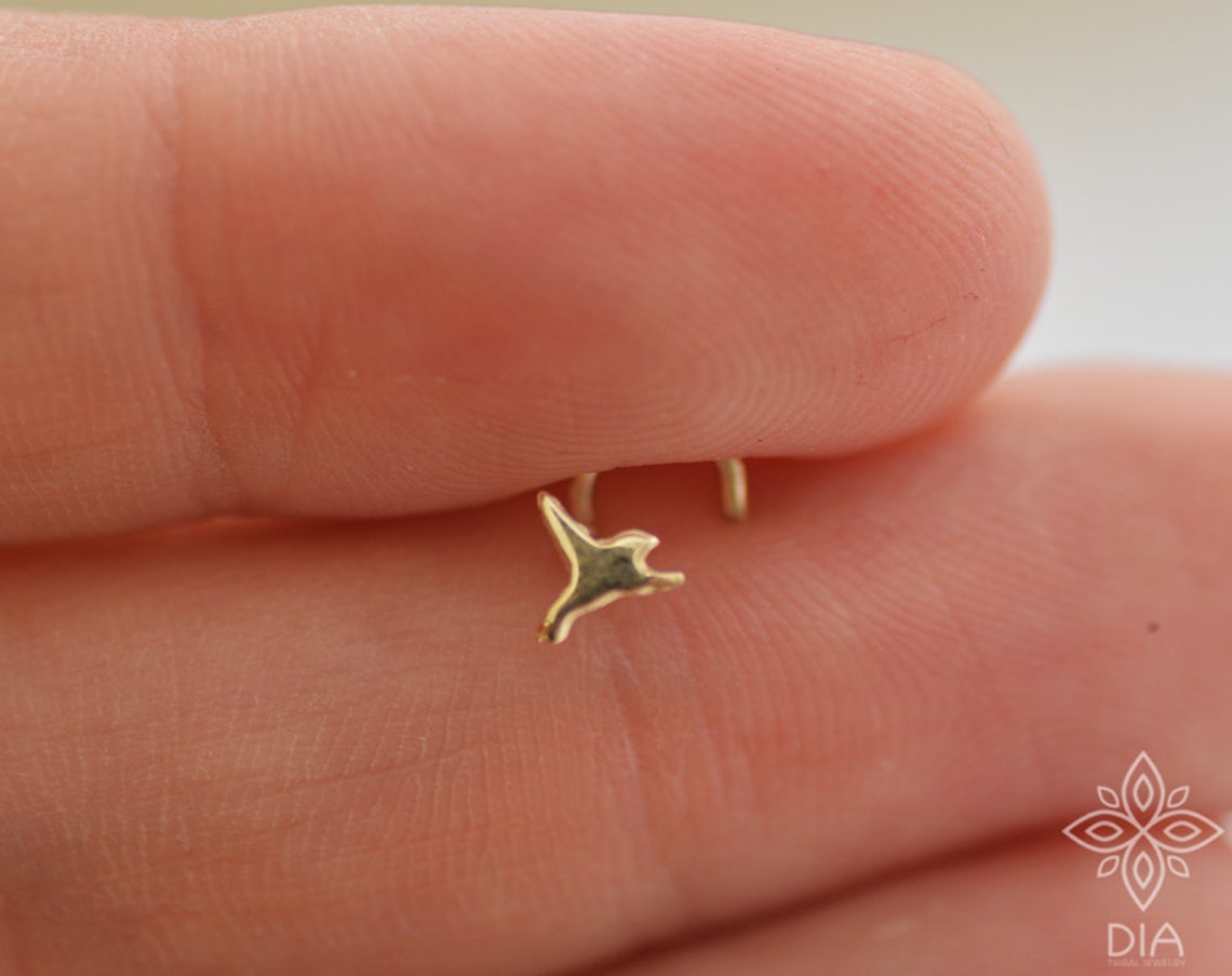 Gold Nose Screw Small Nose Stud, 14k Solid Gold Bird Nose Stud, Small ...