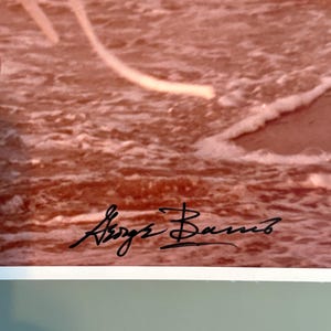 Marilyn Monroe the Last Photos 1962 | Large Color 11 X 14 | Signed ...