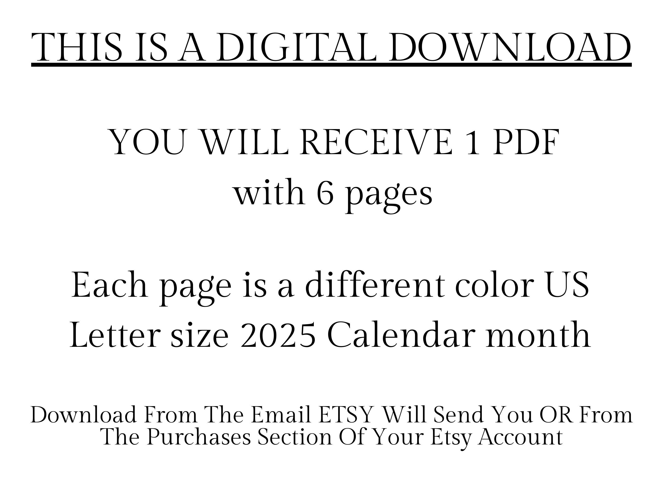 Whimsical Colorful 2025 Blank Monthly Calendar - Etsy