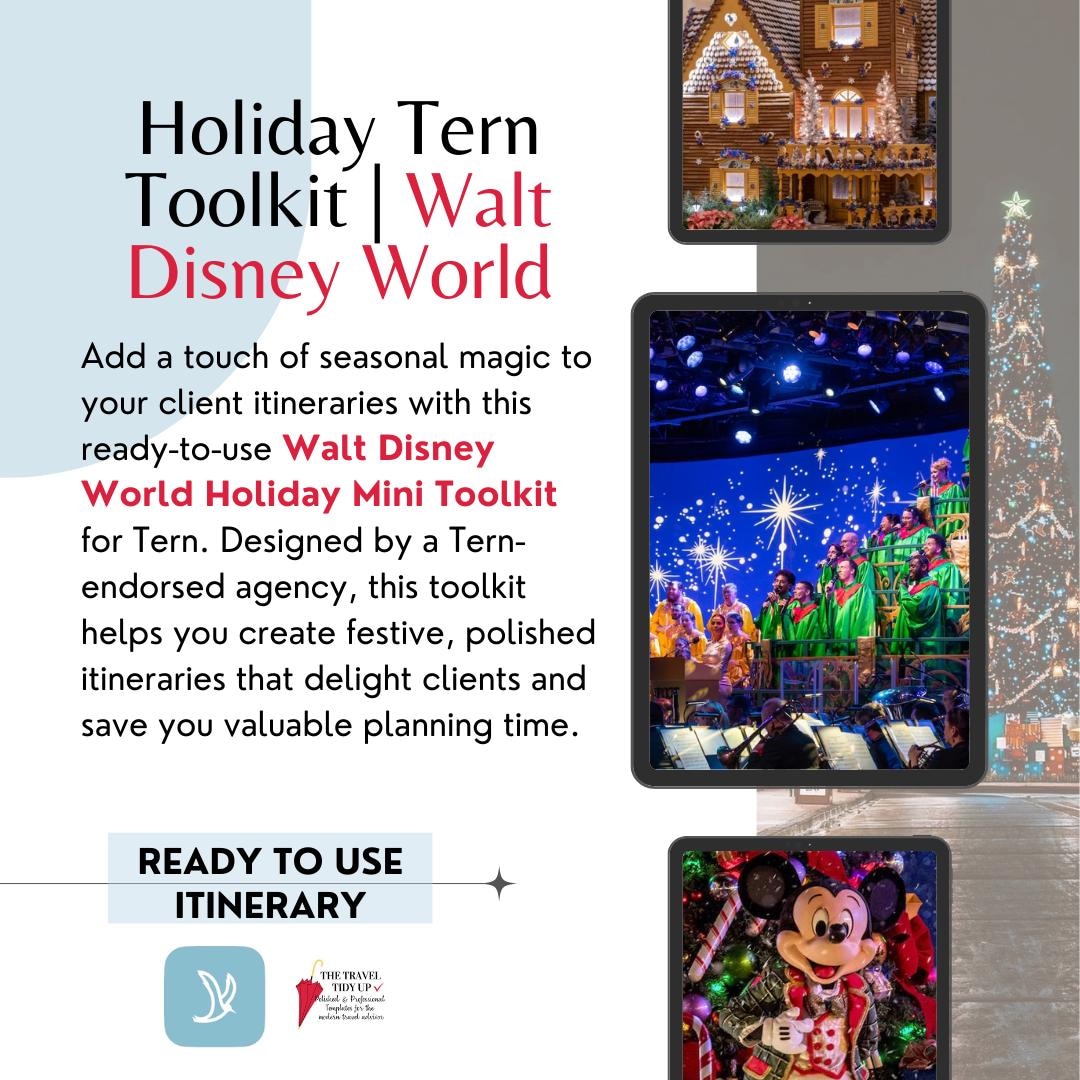Disney Holiday Tern Toolkit for Travel Advisors - Etsy