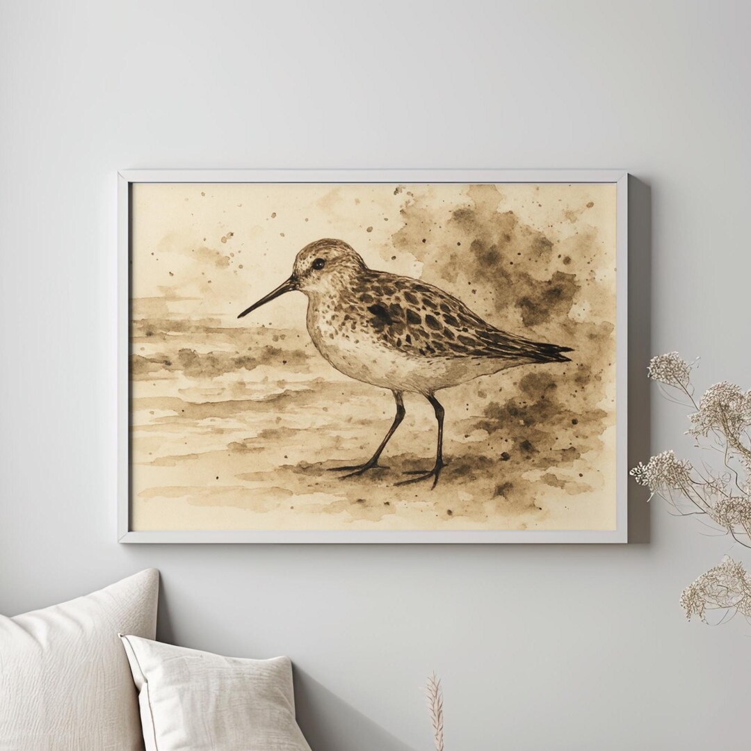 Sandpiper Bird Printable Wall Art, Coastal Print, Ink Illustration ...
