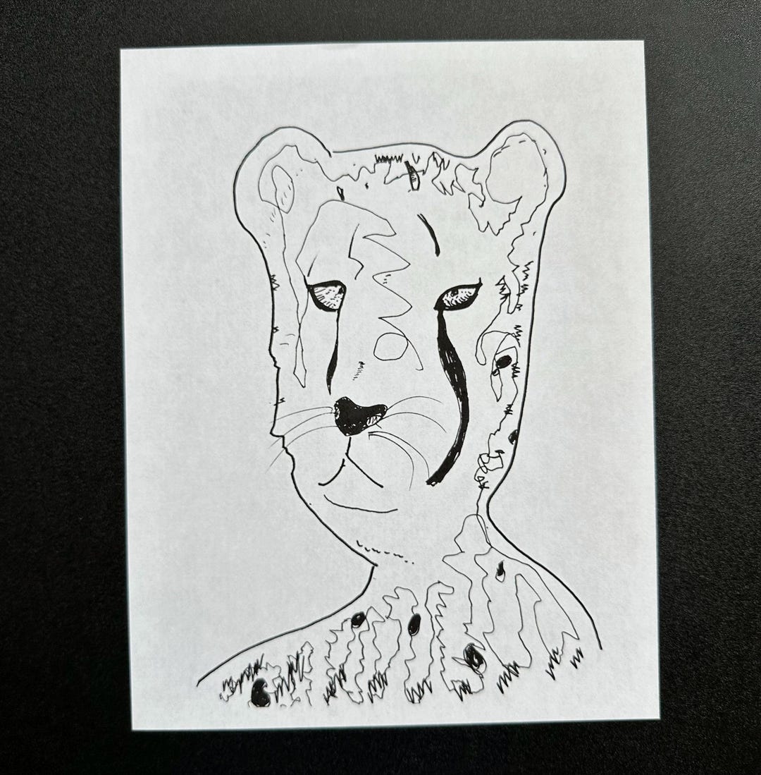 Cheetah Drawing Contemporary Fine Art Sketch Gift for Animal Lover by ...