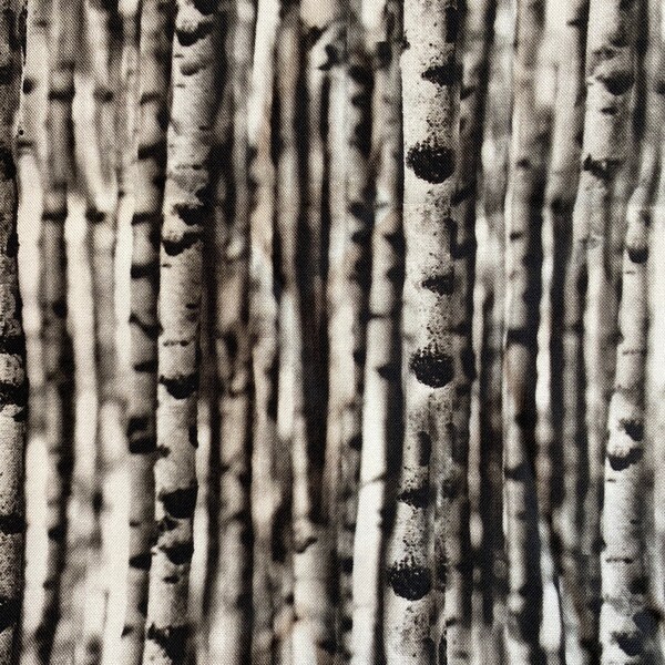 Birch Tree Fabric - Etsy