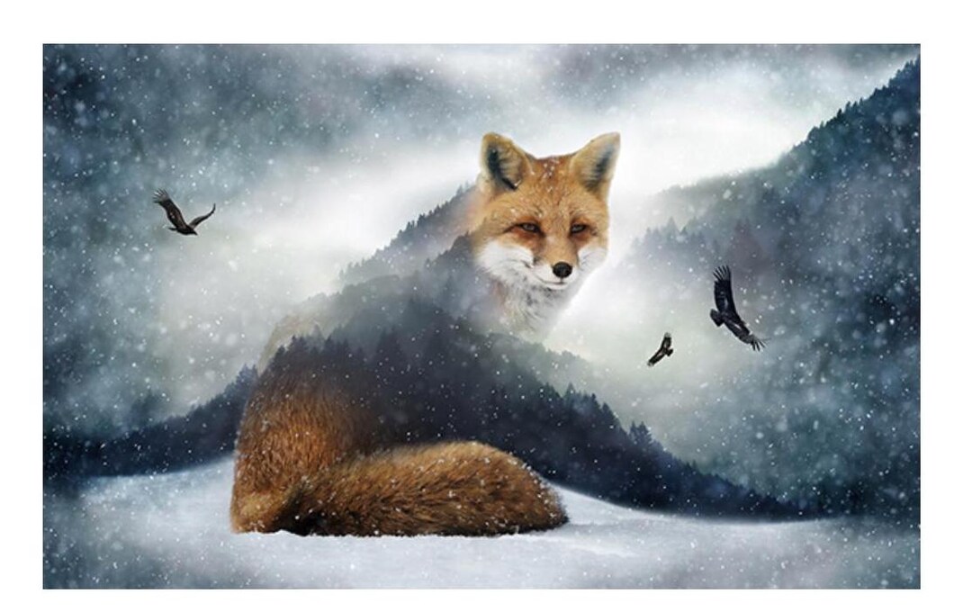 The Fox Panel Bearly Double Vision Bundle or the Fox Panel to Make A ...