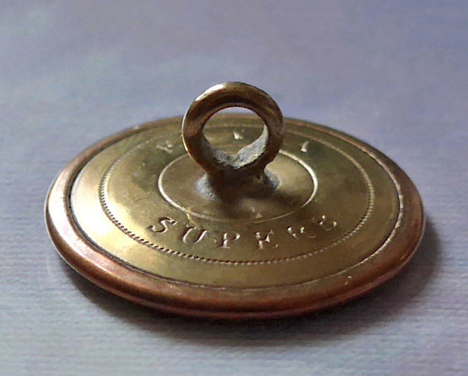Golden Age Button, Antique, A Floral Sprig Design With a Linear ...