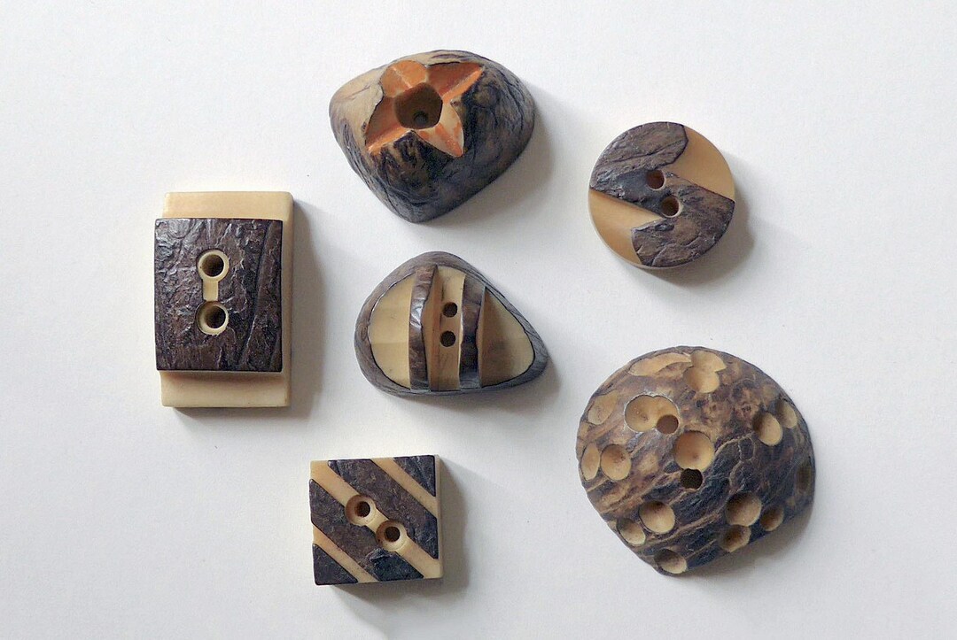 Corozo Nut Buttons, 6 Different, Vintage. A Variety of Shapes, 2 Hole ...