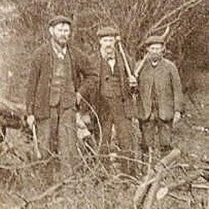 Photograph, Woodsmen, Antique. Depicting Woodsmen Ready for Work, Sepia ...