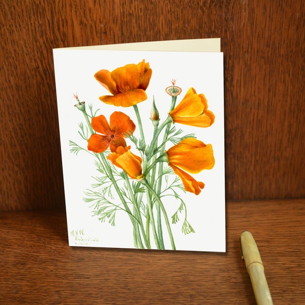 California Greeting Cards - Etsy