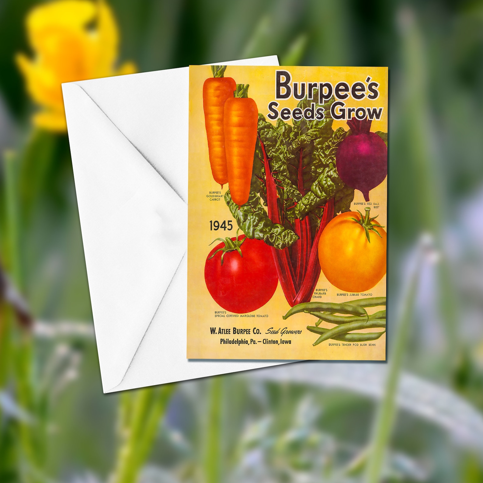 Burpee Seed Catalog 1945 Vintage Farmhouse Country Rural Printable ...