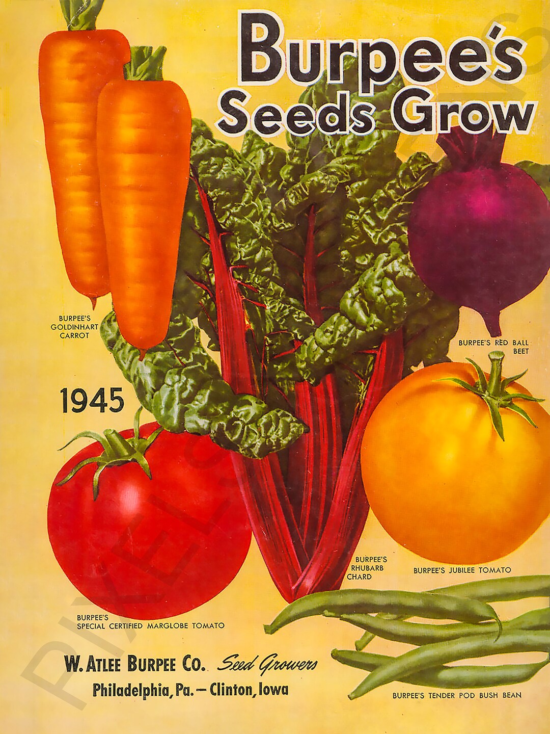 Burpee Seed Catalog 1945 Vintage Farmhouse Country Rural Printable ...