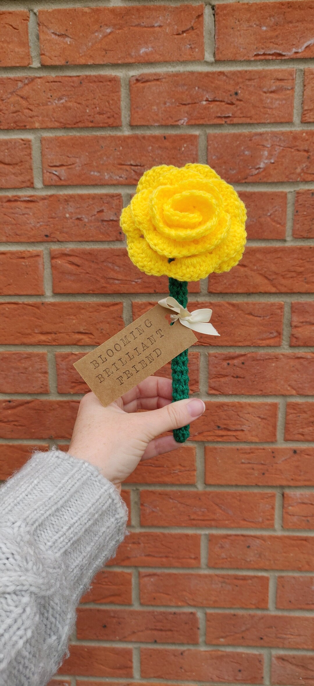 Yellow Rose Gift, Rose Flower Gift, Gift for Friends, Blooming ...