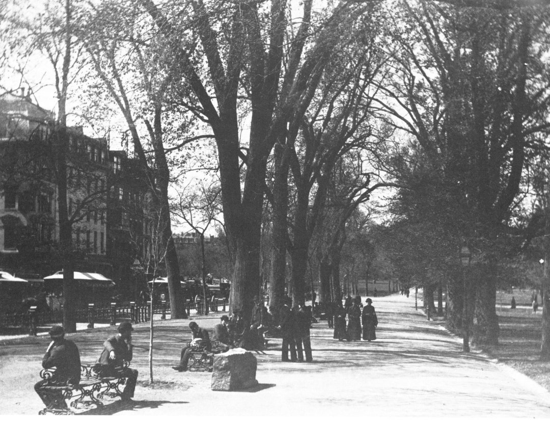 BOSTON COMMON, Tremont Street in 1865 - Vintage Photo Print, Ready to ...
